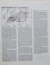 Remembering Waterdeep, the Most Famous City of the Realms: Forgotten ...